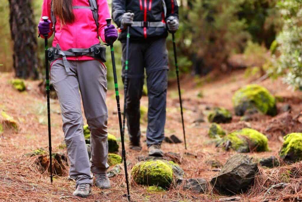 How to Choose the Right Trekking Poles Guide - Nature Roamer