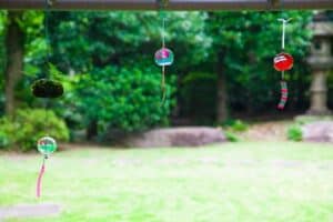 How to Stop Birds Flying into Windows - Nature Roamer