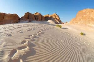 Deserts: A Guide to the World's Arid Lands - Nature Roamer
