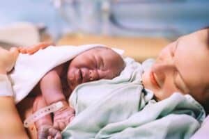 How Different Mammals Give Birth - Nature Roamer