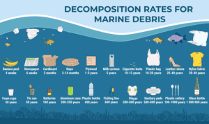 How Plastic Pollution is Endangering Our Ocean Life - Nature Roamer