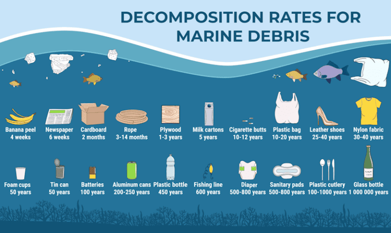 How Plastic Pollution is Endangering Our Ocean Life - Nature Roamer