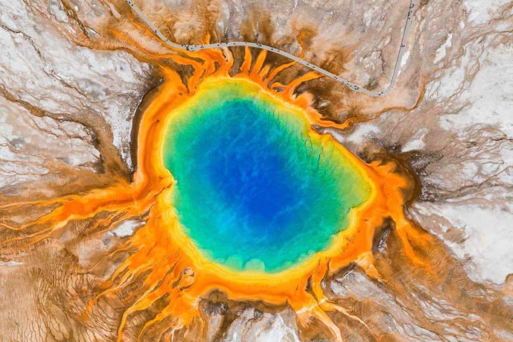 Earth's Toughest Extremophiles: Extreme-Loving Organisms - Nature Roamer