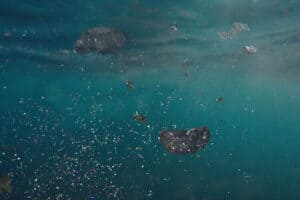 Wonders of Plankton: Tiny Organisms, Huge Impact - Nature Roamer