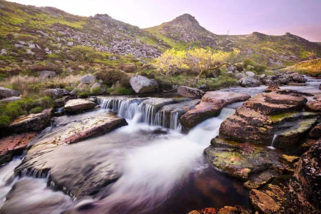 Yorkshire Dales Wildlife Visitor's Guide - Nature Roamer