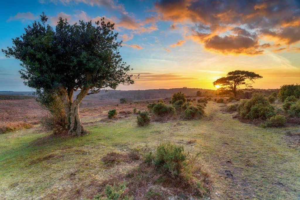 Snowdonia National Park: A Wildlife Enthusiast's Guide - Nature Roamer