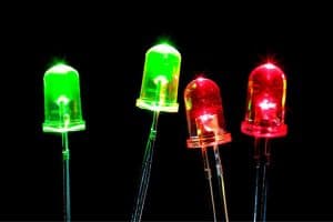 Biomimicry: Animal-Inspired Inventions - Nature Roamer