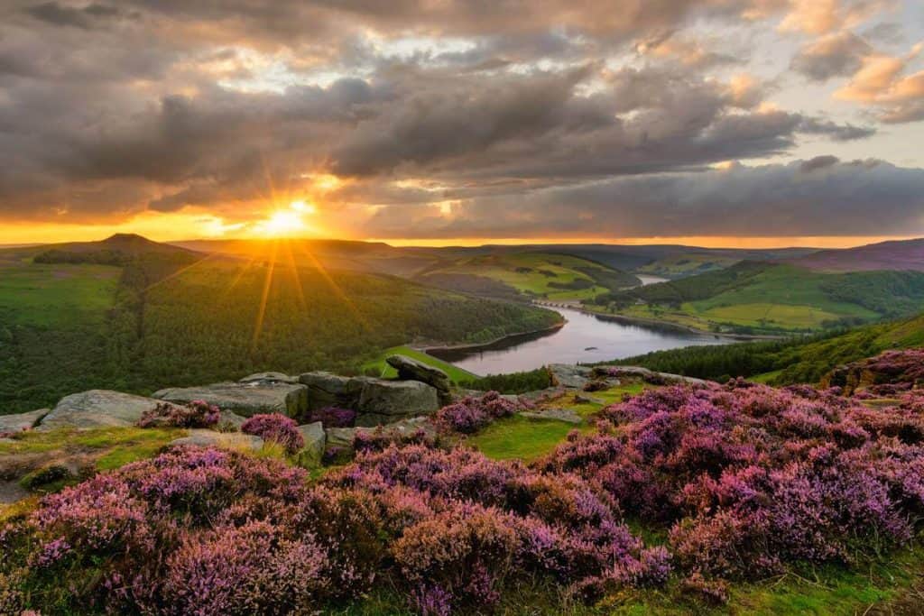 Snowdonia National Park: A Wildlife Enthusiast's Guide - Nature Roamer
