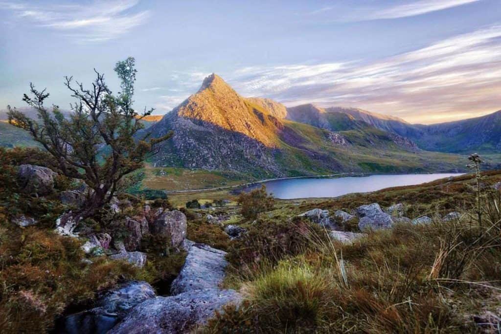 Snowdonia National Park: A Wildlife Enthusiast's Guide - Nature Roamer